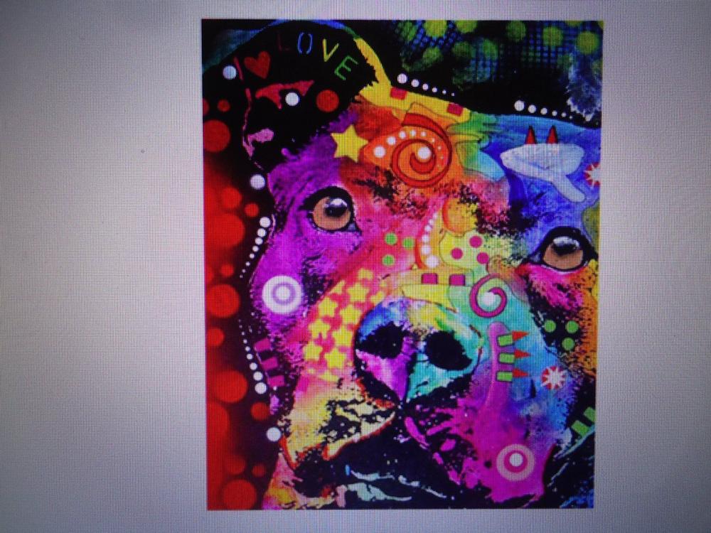 neu! Malen nach Zahlen, 40 x 50 cm, alles dabei + Rahmen | Kaufen auf Ricardo