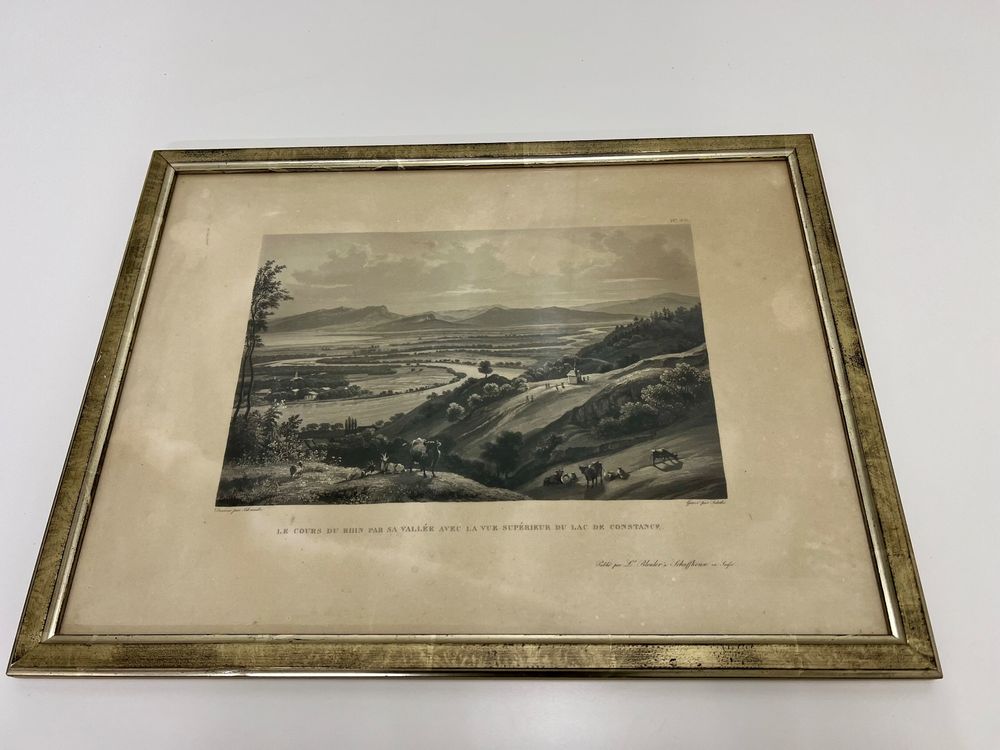Antiker Kupferstich, St. Galler Rheintal mit Bodensee | Kaufen auf Ricardo