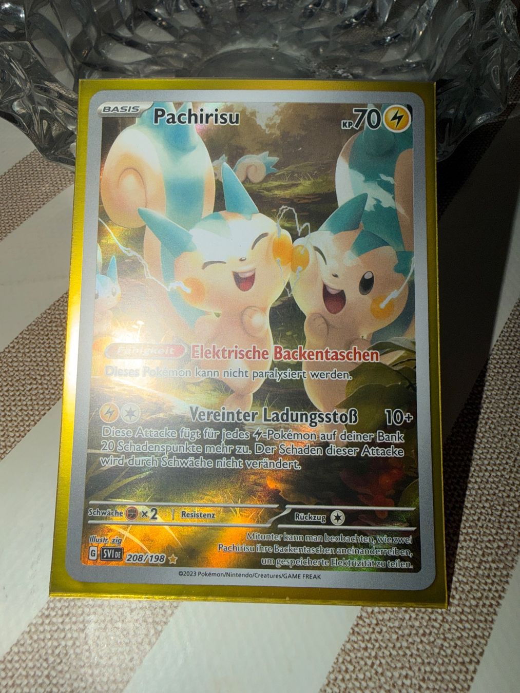 Pachirisu Gallery Art - Karmesin & Purpur - Near Mint (Gebraucht) in St ...