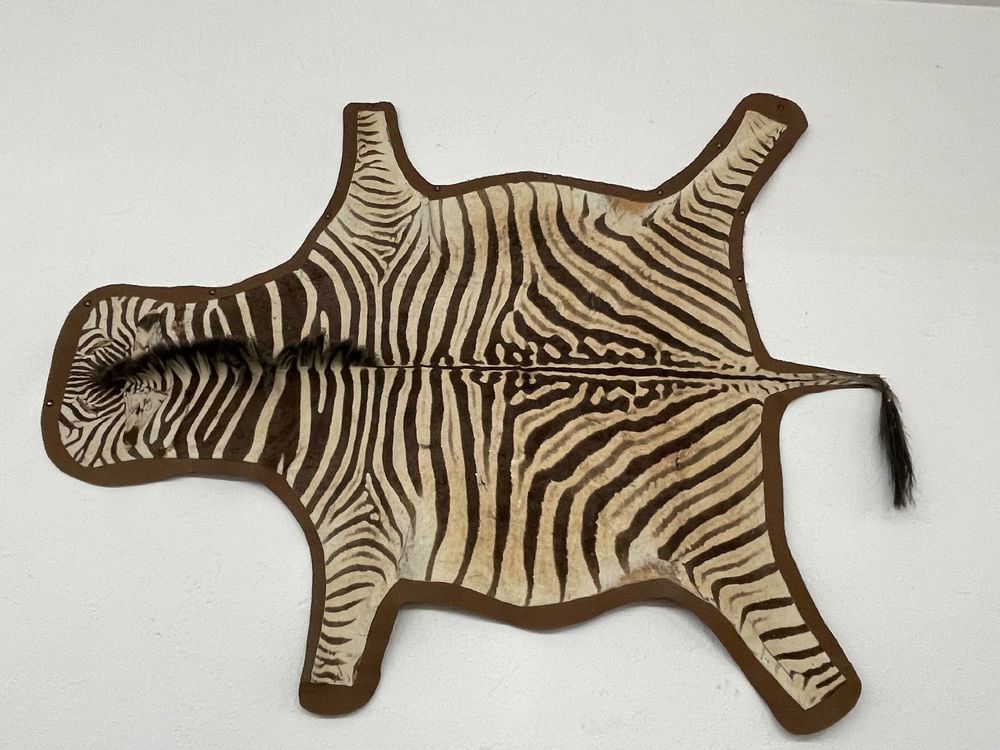 Echtes Zebrafell, Länge = 2.40 Meter ab 1.— | Kaufen auf Ricardo