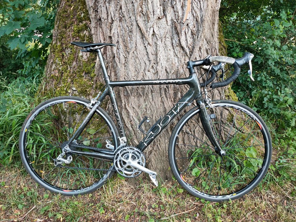 KUOTA CARBON RENVELO | Kaufen auf Ricardo