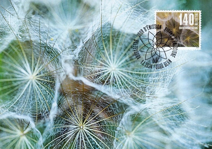 Maximumkarte Naturmuster - Samenstand | Kaufen auf Ricardo