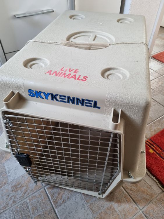 Transportbox XL für Hunde ca 80x 60x55 (Gebraucht) in Thal für CHF 55 ...