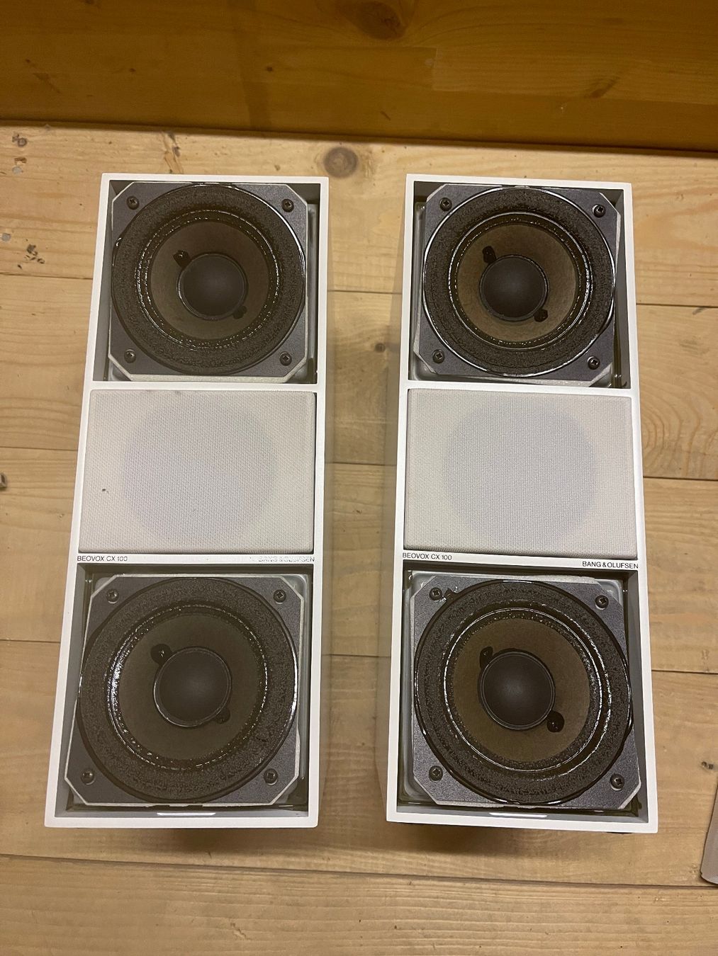 Bang & Olufsen BeoVox CX 100 ab CHF 1.-- (Gebraucht) in Rain für CHF 20 ...