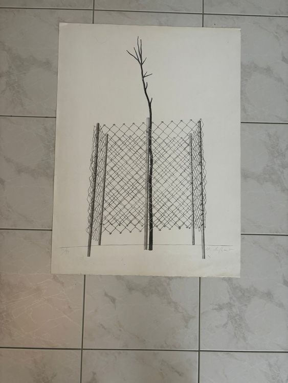 Alfred Hofkunst, Serigraphie (Gebraucht) in Gwatt (Thun) für CHF 40 ...