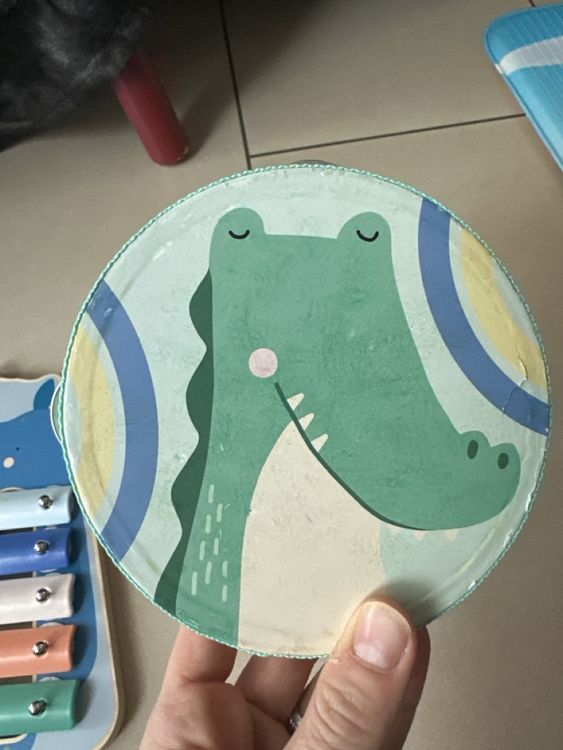 Musikinstrumente Set: Xylophon, Rassel & Tamburin🎵🐊🦏🎶 (Gebraucht) in ...