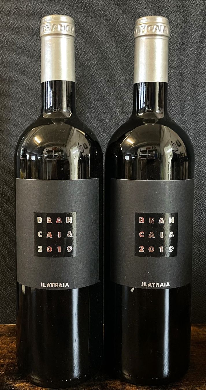 2 x Brancaia Ilatraia 2019 (Neuf avec emballage d'origine) à Oftringen ...