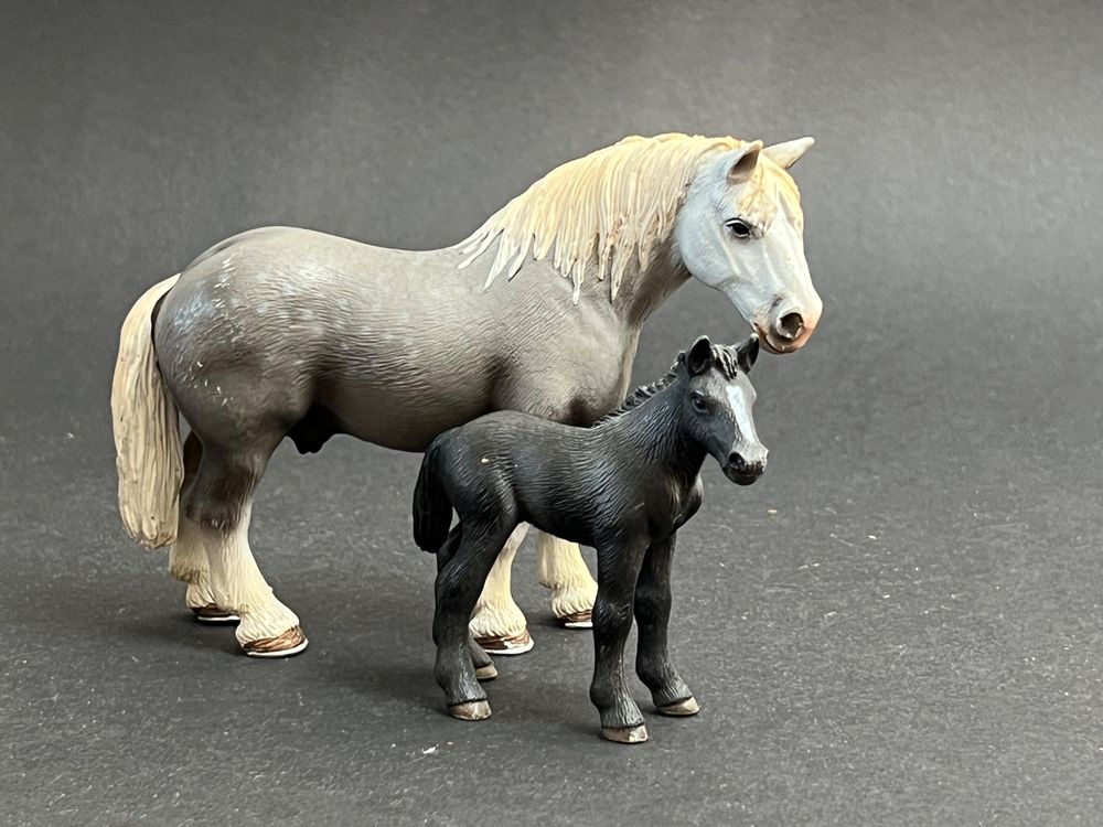 Schleich Percheron Hengst Stute Fohlen (Gebraucht) in Ennetbaden für CHF 17 – mit Lieferung auf ...