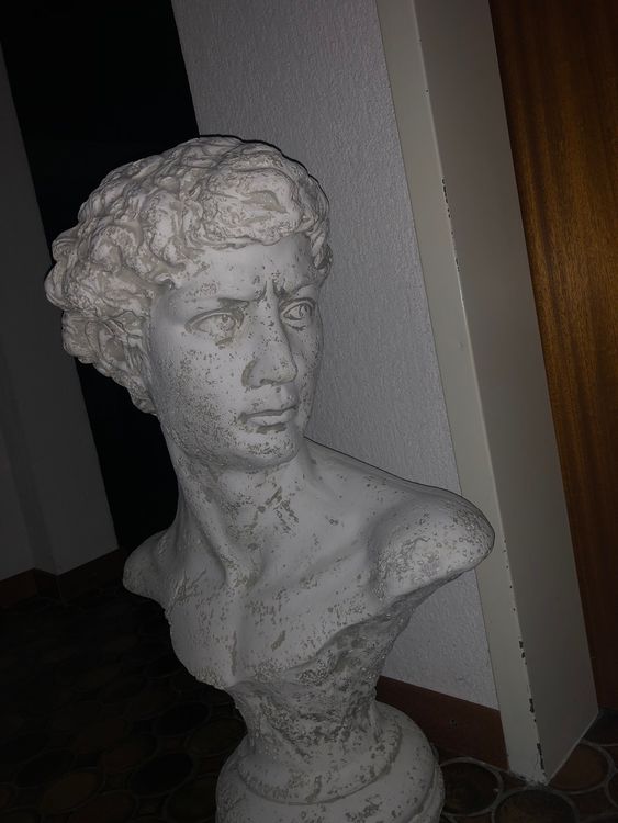 David Büste | Kaufen auf Ricardo