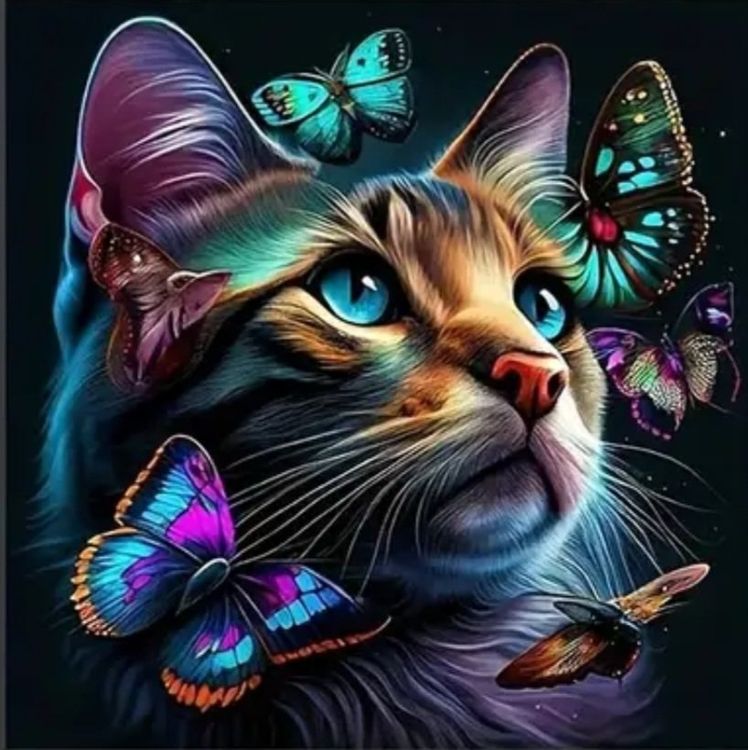 Diamant Painting Katze B158 | Kaufen auf Ricardo