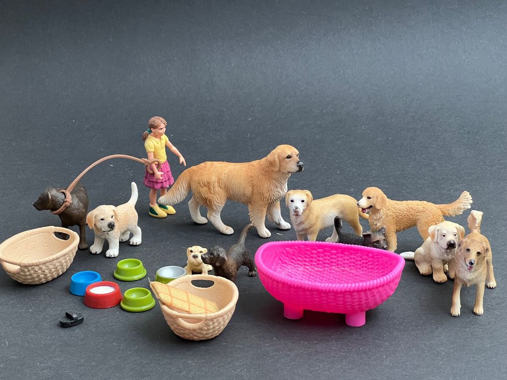 Schleich Hund Hunde Zubehör (Gebraucht) in Ennetbaden für CHF 40 – mit Lieferung auf Ricardo kaufen