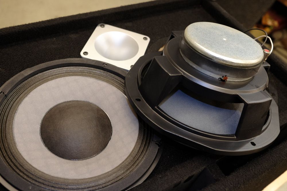 SWR Goliath JR III 2X10 Bass Box - gut erhalten (Gebraucht) in Basel ...