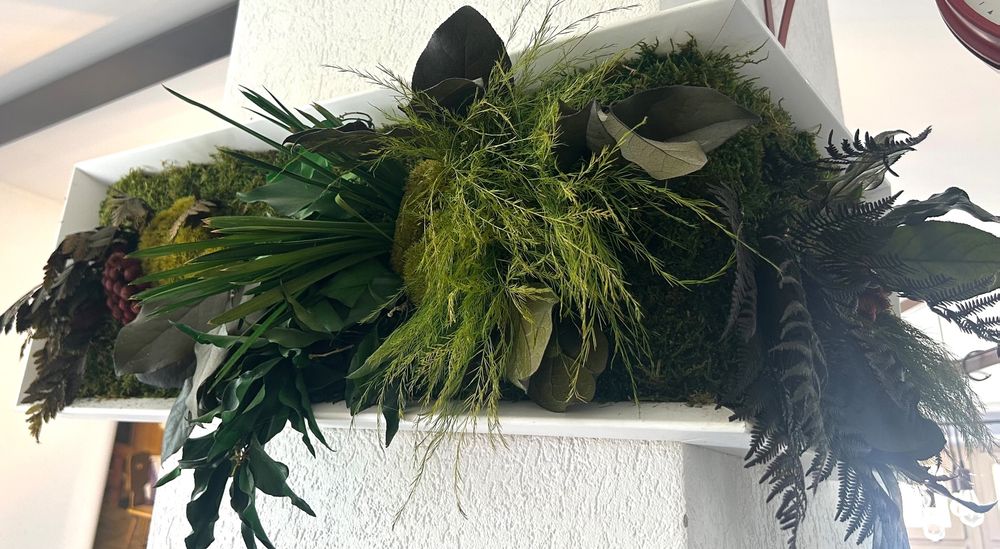 Tableau végétal (D'occasion) à Delémint pour CHF 50 – retrait ...