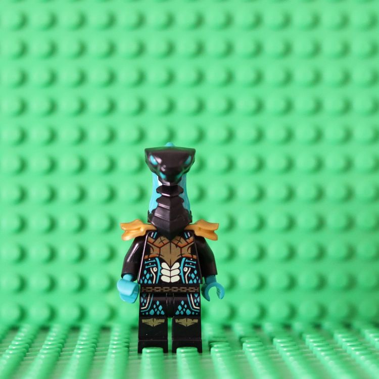 LEGO Ninjago, Maaray Guard (Gebraucht) in Luzern für CHF 2.5 – mit ...