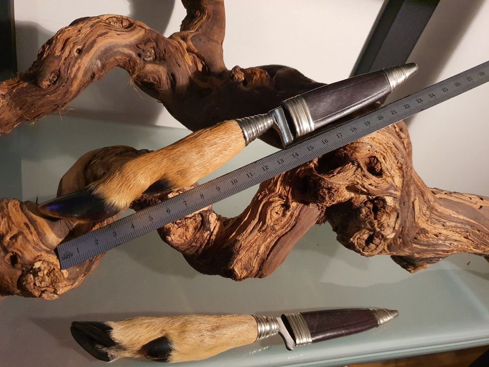 JÄGER MESSER HIRSCH SOLINGEN WIE PUMA (Neu (gemäss Beschreibung)) in ...