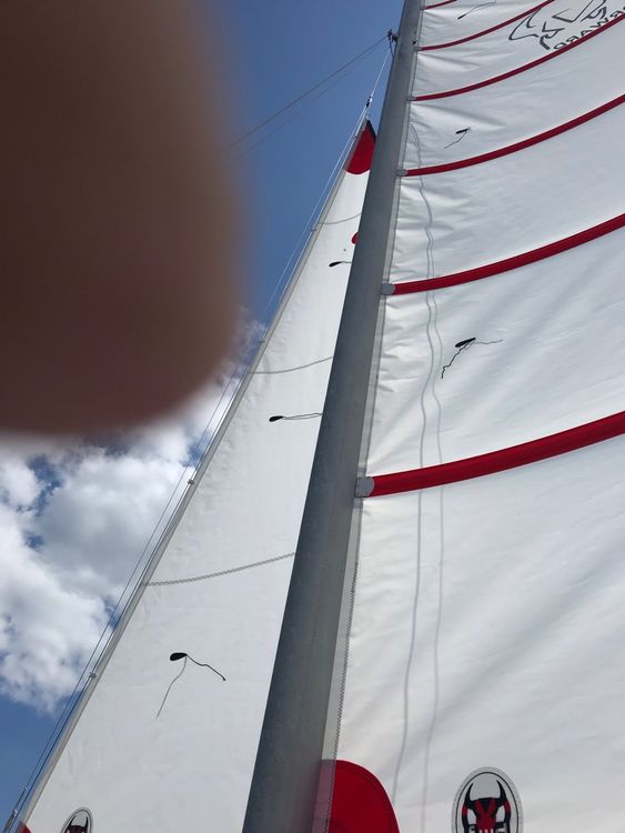 Katamaran Dart 18 | Kaufen auf Ricardo