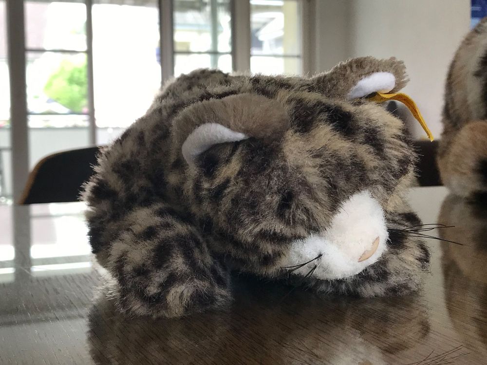 Steiff Katze Minou 074806 | Kaufen auf Ricardo