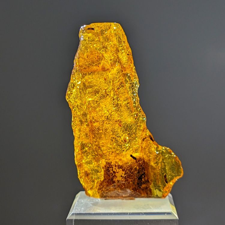 HONIGFARBENER KOPAL-BERNSTEIN mit MÜCKEN und INSEKTEN (Neu (gemäss Beschreibung)) in Balerna für ...