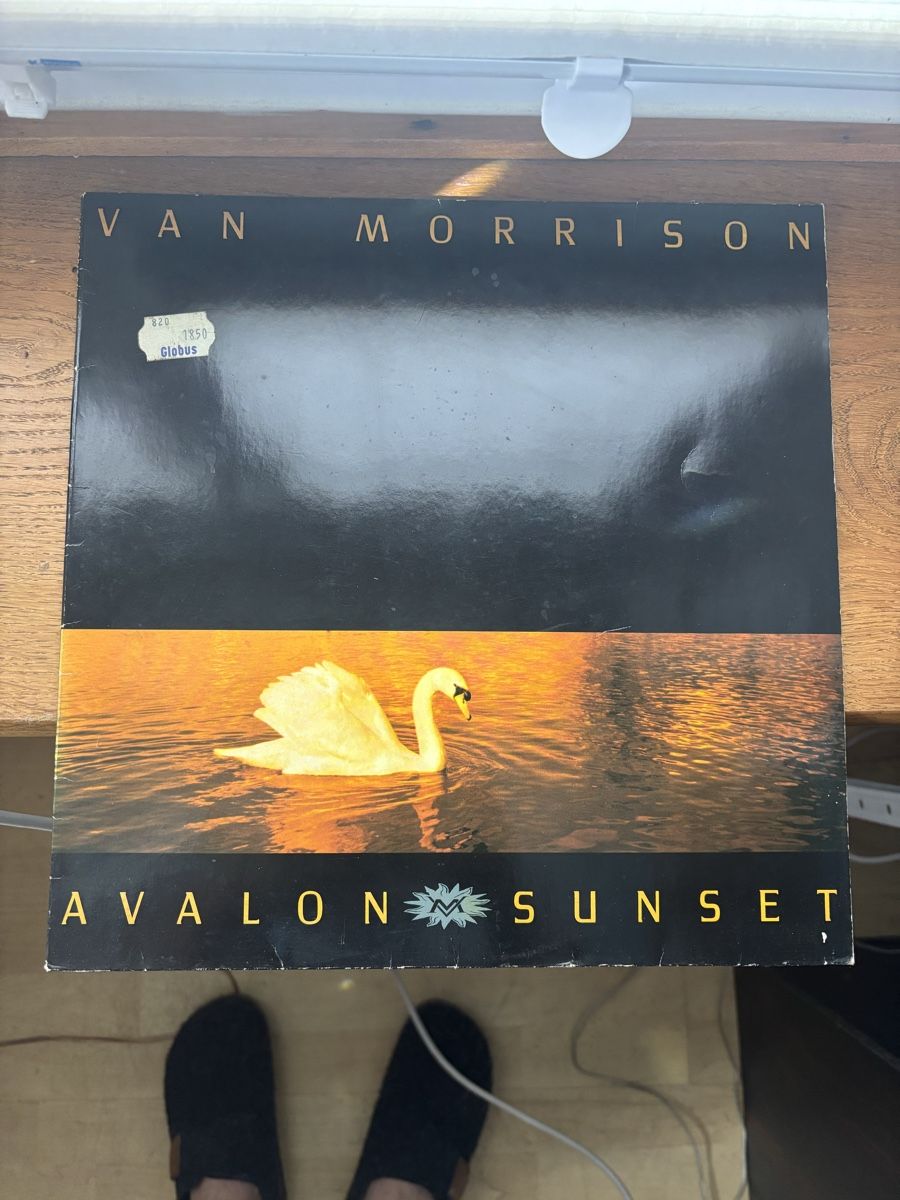 Van Morison LP (Gebraucht) in Pfyn für CHF 16 – nur Abholung auf ...