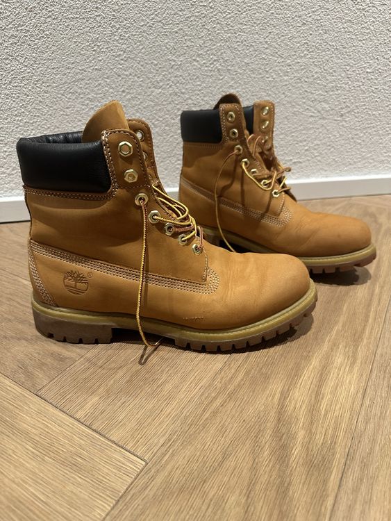 Timberland Herren Boots Gr. 43 (US 9.5) (Neu (gemäss Beschreibung)) in ...