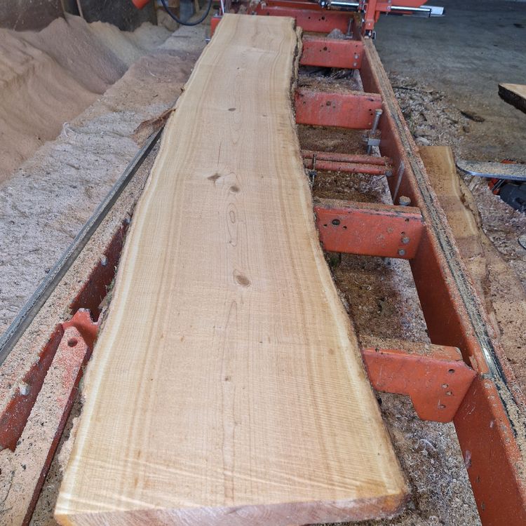 Kirschbaum Bretter 45mm (Neu (gemäss Beschreibung)) in Büren SO für CHF ...