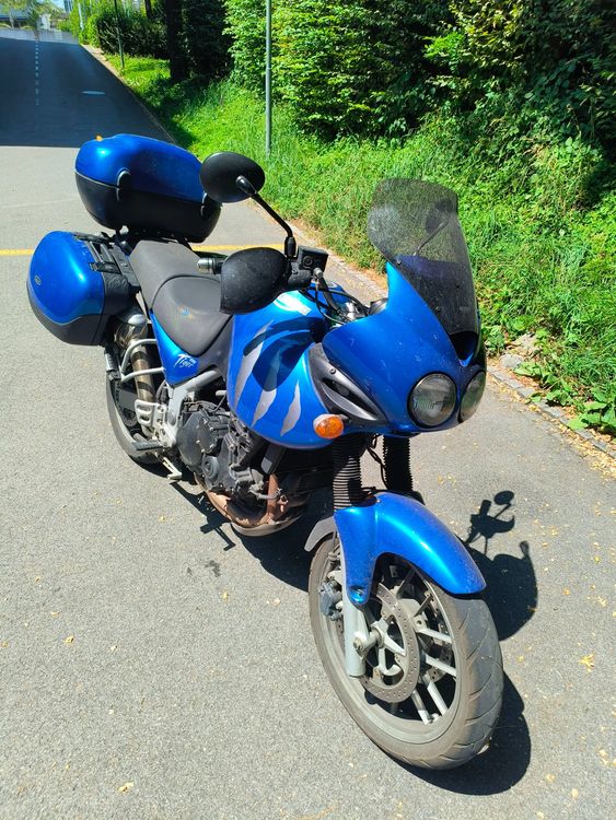 Triumph Tiger 955i, 2006, 69t KM - MFK/Service, Top Zustand (Gebraucht ...