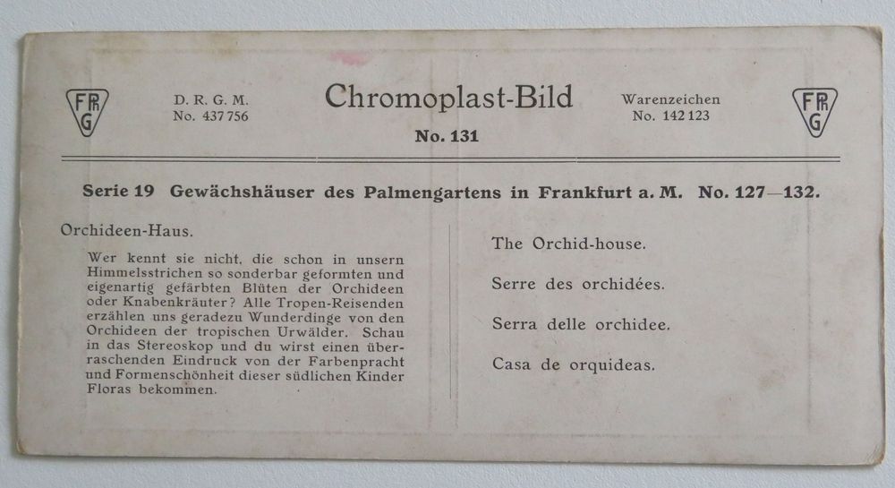 Stereofoto Chromoplast-Bild – Orchideen-Haus in Frankfurt (Gebraucht ...