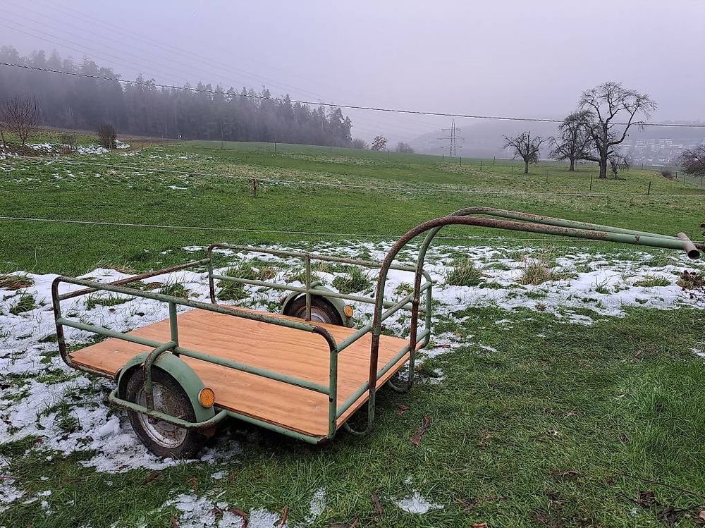 Stabiler grosser Veloanhänger Cargotrailer (Gebraucht) in Winterthur für CHF 100 – nur Abholung ...