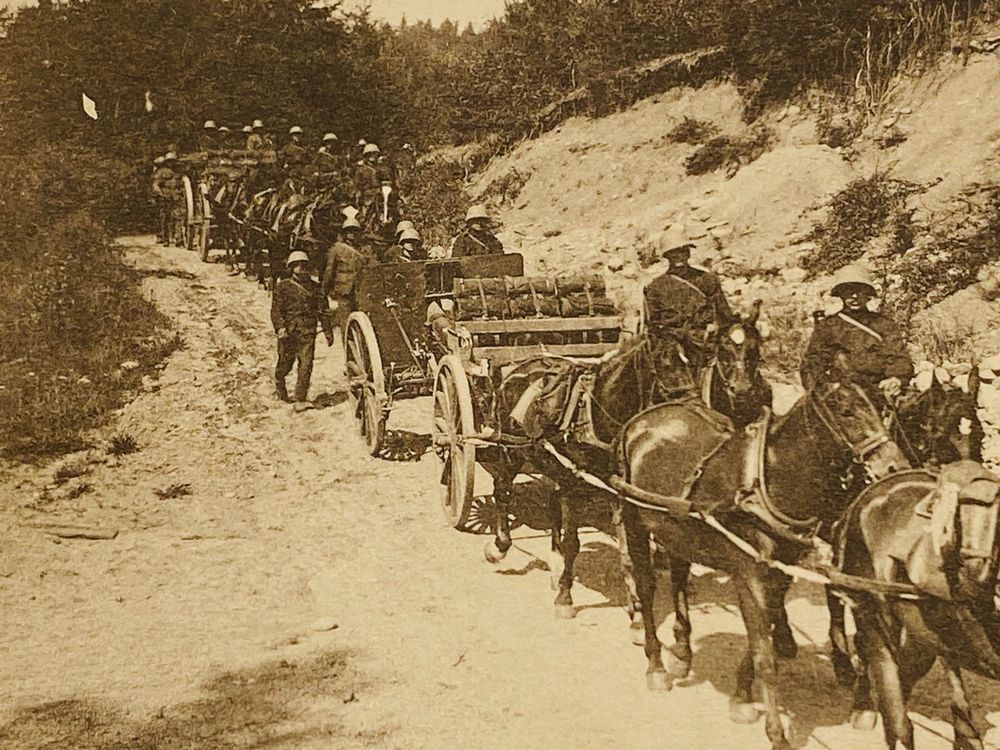 1927 Armee Schweiz Feldartillerie Stempel Biere Pferd Wagen (Gebraucht) in Müswangen für CHF 18 ...