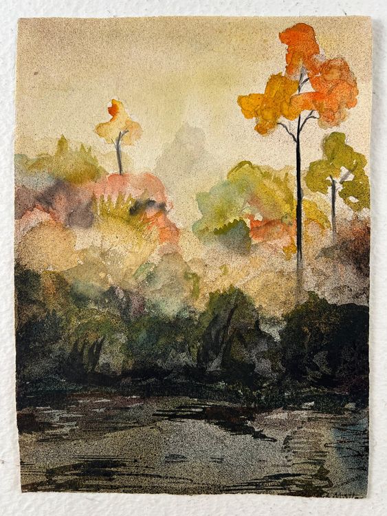 Landschaft Aquarel Unleserlich Signiert (Gebraucht) in Neuhausen am Rheinfall für CHF 10 – mit ...