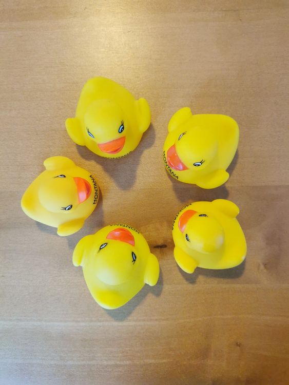 5 Stk. kleine Badeenten, Quietschenten, Gummienten, gelb (Gebraucht) in ...