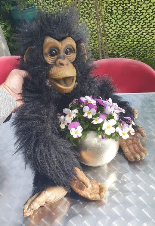 Schimpanse Affe Handpuppe wie echt! (Gebraucht) in Neerach für CHF 36 ...
