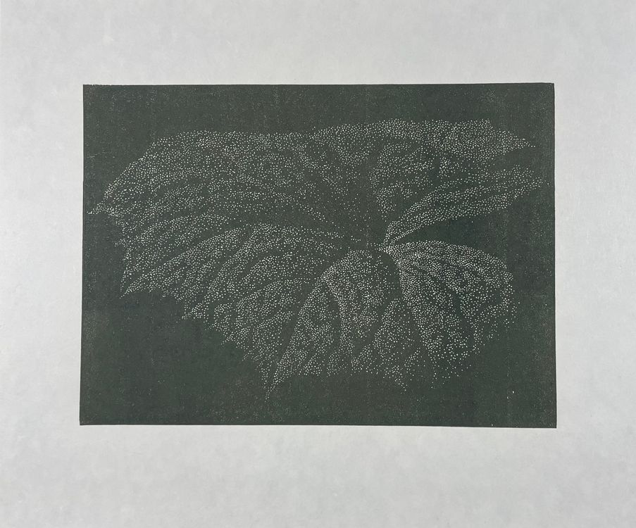 Franz Gertsch (1930-2022) Holzschnitt Handsigniert (Gebraucht) in Root für CHF 2090 – mit ...