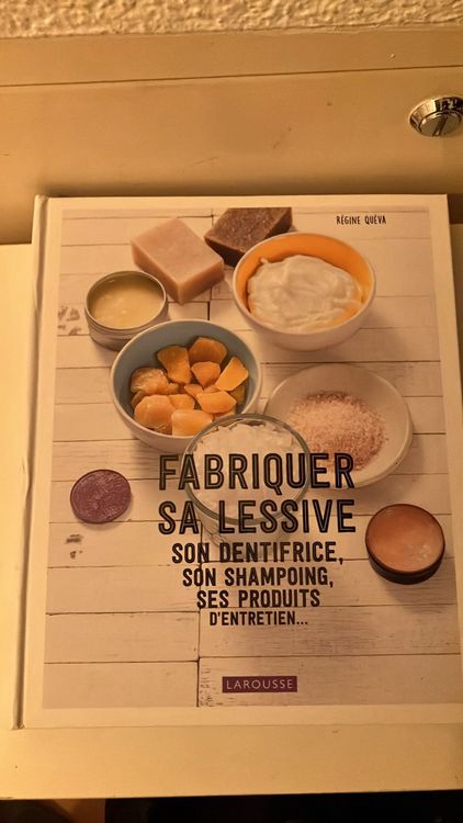 Livre Fabriquer sa lessive Larousse (Neu (gemäss Beschreibung)) in ...