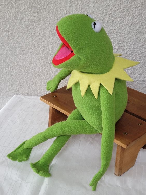 Striegel Kermit Der Frosch