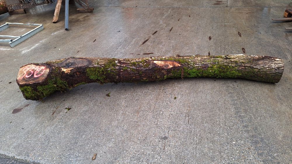 Nussholz Ast Holz Nussbaumholz drechseln basteln (Neu (gemäss ...