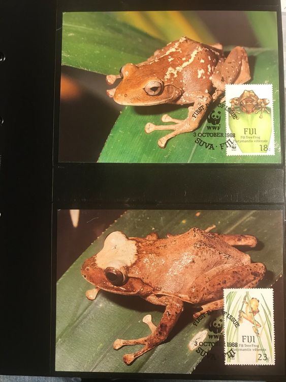 WWF Fidschi 1988 Satz Baumfrosch Maximumkarten (Neu (gemäss Beschreibung)) in Liestal für CHF 2 ...