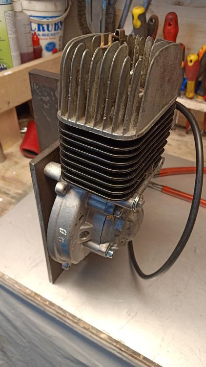 ciao si piaggio motor (big boy) (Neu (gemäss Beschreibung)) in Grub SG ...