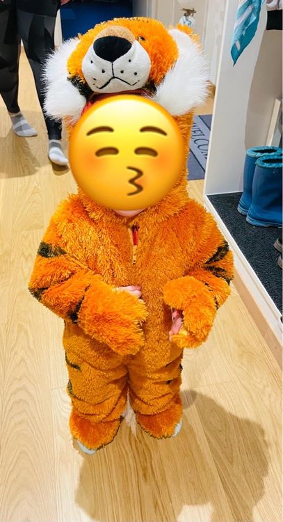 Fasnachtskostüm LÖWE 86 (Gebraucht) in Giswil für CHF 41 – mit ...