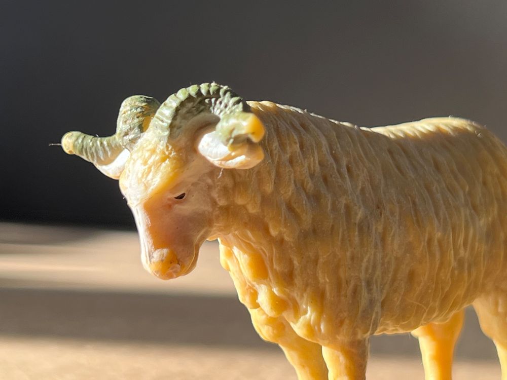 Schleich Widder Schaf Schafbock Rarität made in Germany | Kaufen auf Ricardo