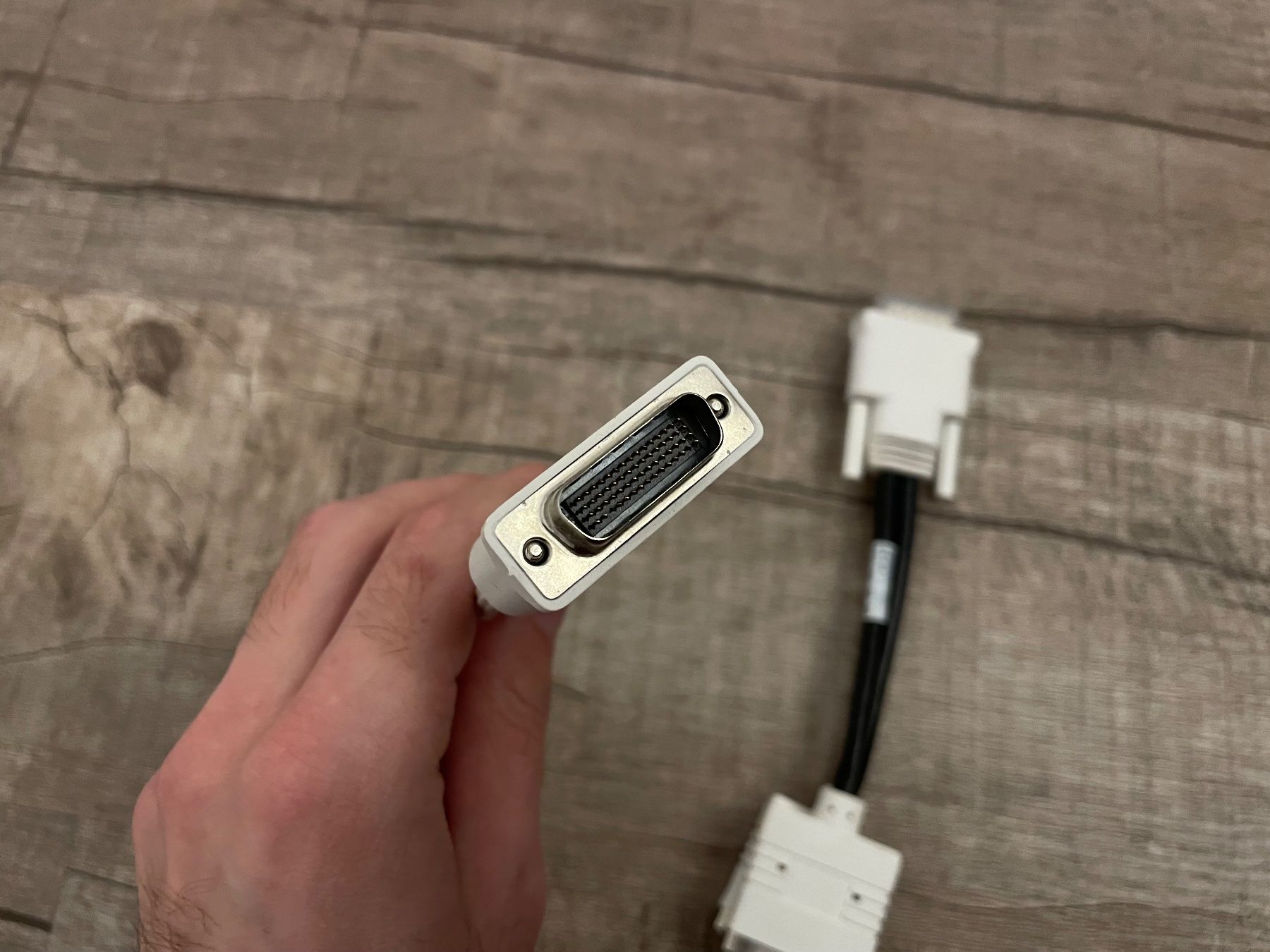 HP BizLink Splitter Cabel - Male to dual DVI Female (Neu (gemäss ...