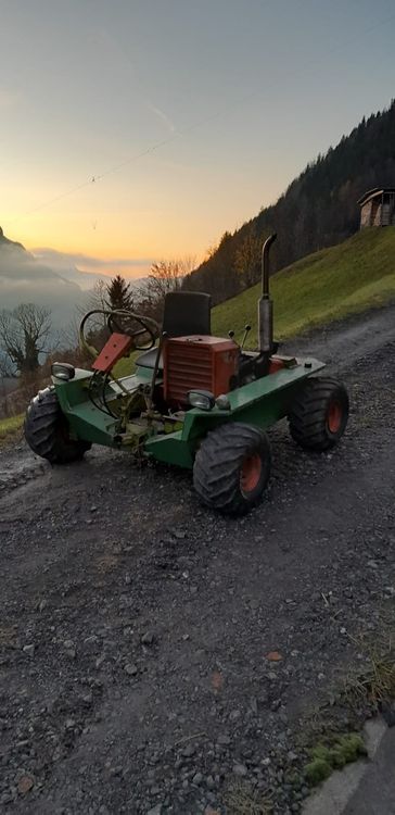 Rasant Berg-Trak (Gebraucht) in Riemenstalden für CHF 900 – nur ...