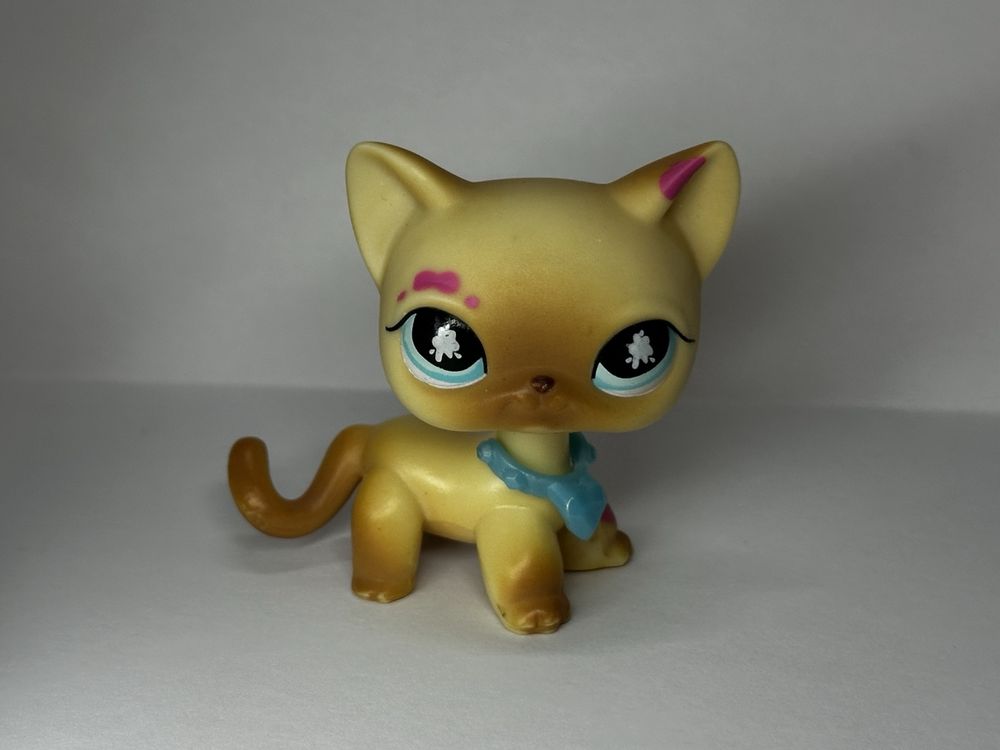 Lps littlest pet shop Shorthair Katze | Kaufen auf Ricardo
