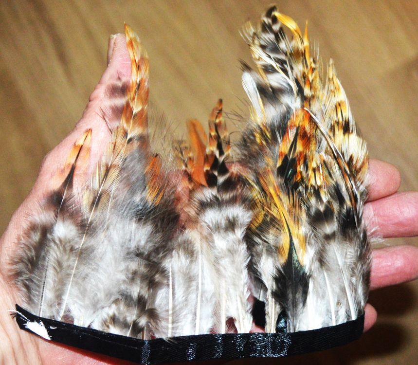 Deko Federn 479 – Band mit Federn – Fasan –Girlande- 1 Meter (Neu und ...
