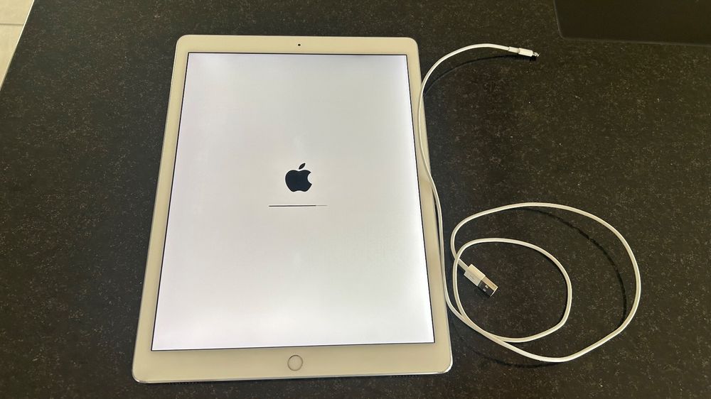 iPad Pro 1. Generation 128 GB | Kaufen auf Ricardo
