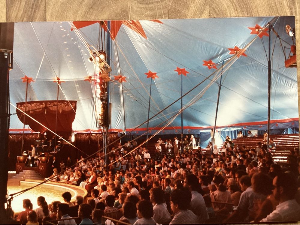 Circus Knie Foto 1987 (Gebraucht) in Reichenbach i. K. für CHF 1 – mit ...