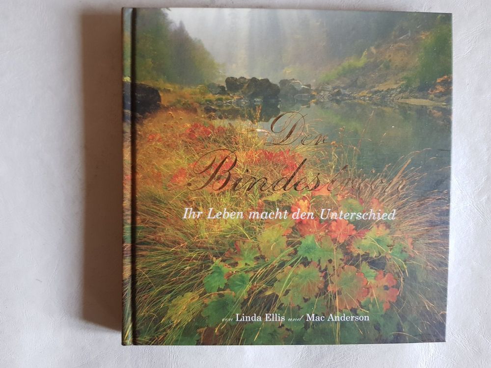 Der Bindestrich - Ihr Leben macht den Unterschied mit DVD (Gebraucht ...