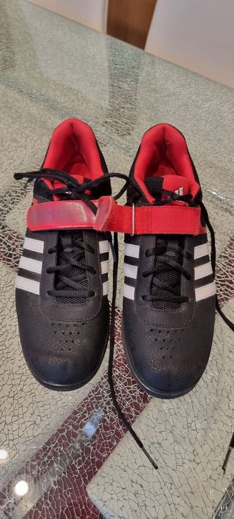 Adidas 43 1/3 (Gebraucht) in Luzern für CHF 35 – mit Lieferung auf ...