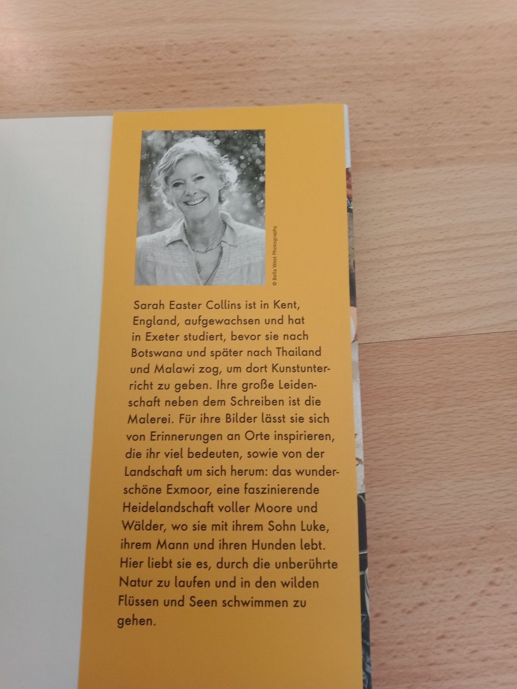 Sarah Easter Collins So ist das nie passiert Roman 2024 (Gebraucht) in ...