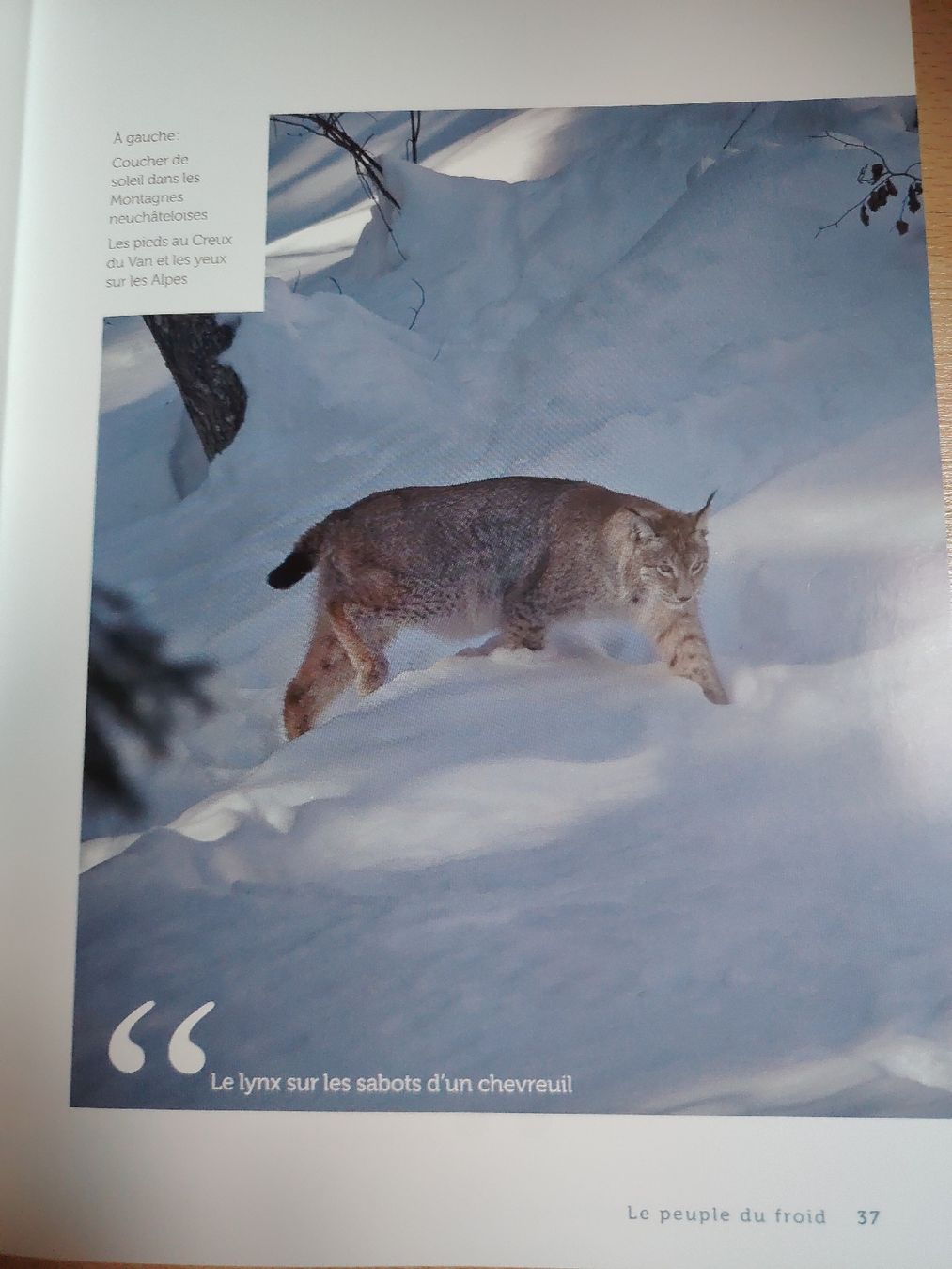 Voyage dans le Jura sauvage livre photo d'Alain Prêtre (Neu (gemäss ...